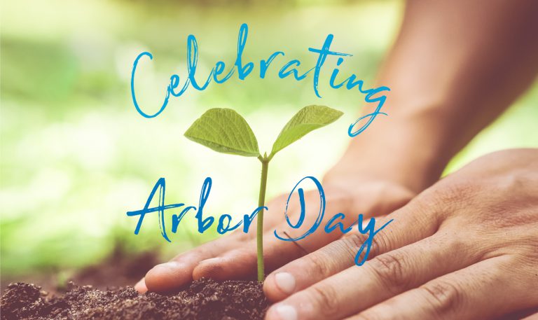 Happy Arbor Day - Let's Celebrate - Hillhouse Construction